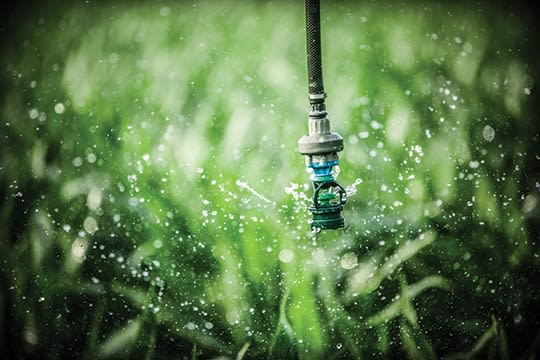 Water Spraying in a Farm Field Photo | PERC