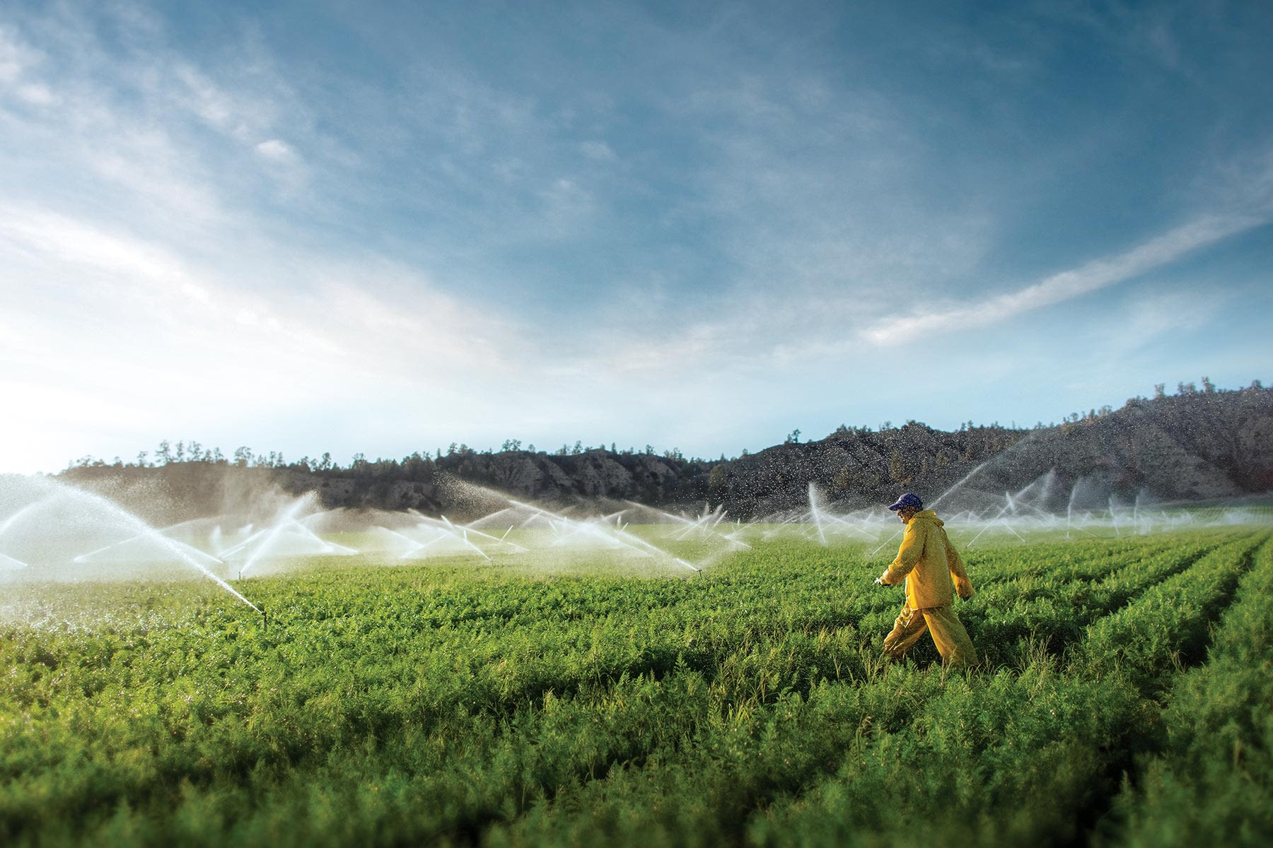 Propane | PERC - Propane Education & Research Council