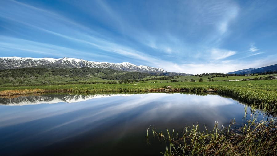 Material Handling for Ports